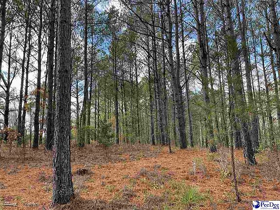 1.43 Hunters Run Ln, Wallace, SC 29596 | Zillow