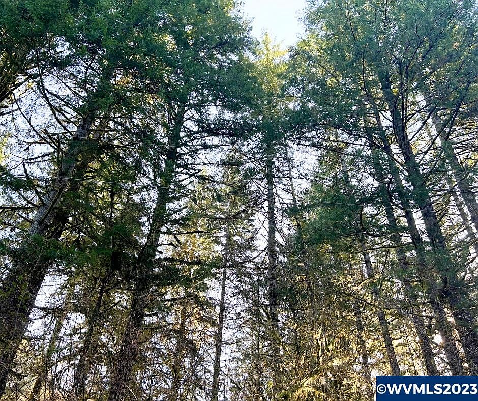 1850 Moonshine Park Rd, Logsden, OR 97357 | Zillow