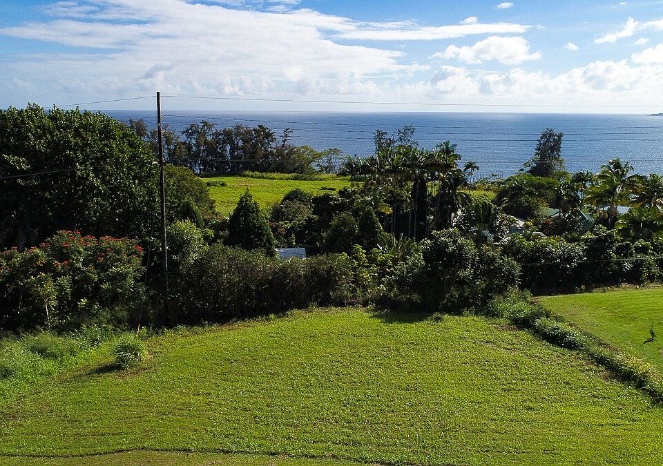 27-2466 Kahala Pl, Hilo, HI 96720 | Zillow