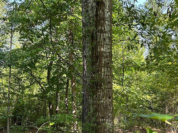 Chapel Hill Rd, Decatur, MS 39327 | Zillow