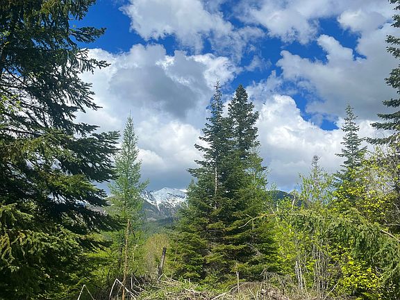 14156 Orvis Evans Dr, Bigfork, MT 59911 | MLS #30005231 | Zillow