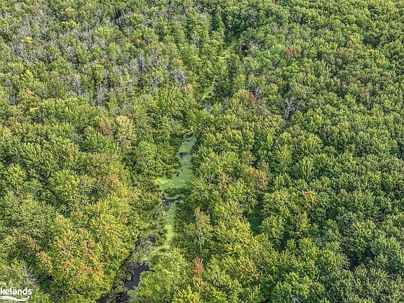 3902 Muley Point Rd, Ramara, ON L3V 0L1 | Zillow