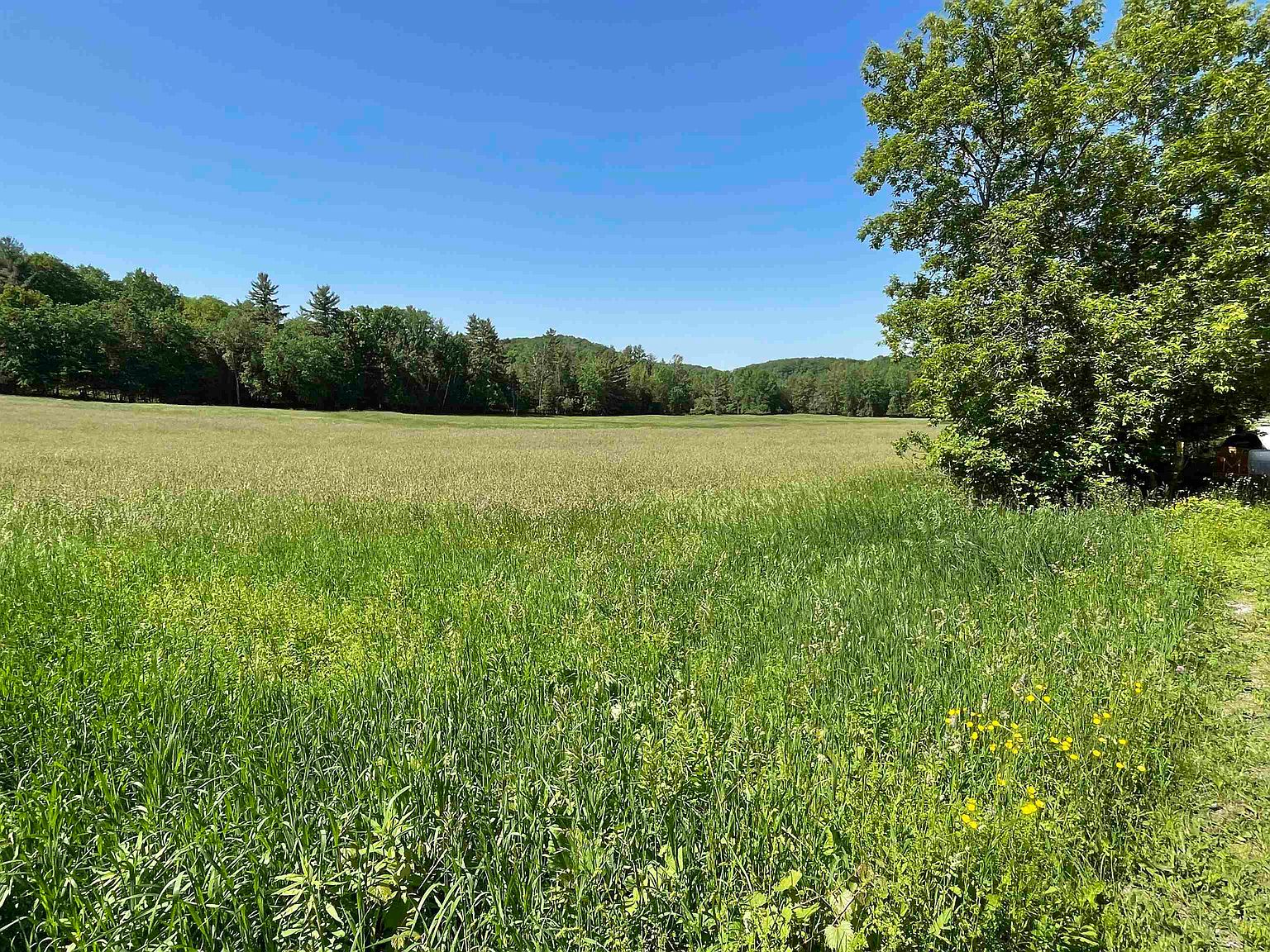 Rollo Road UNIT 7, Highgate Center, VT 05459 | Zillow