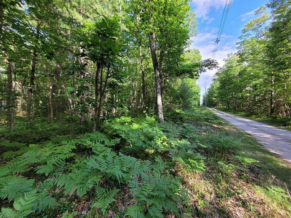 658 Xyrid Ln, Millersburg, MI 49759 | Zillow