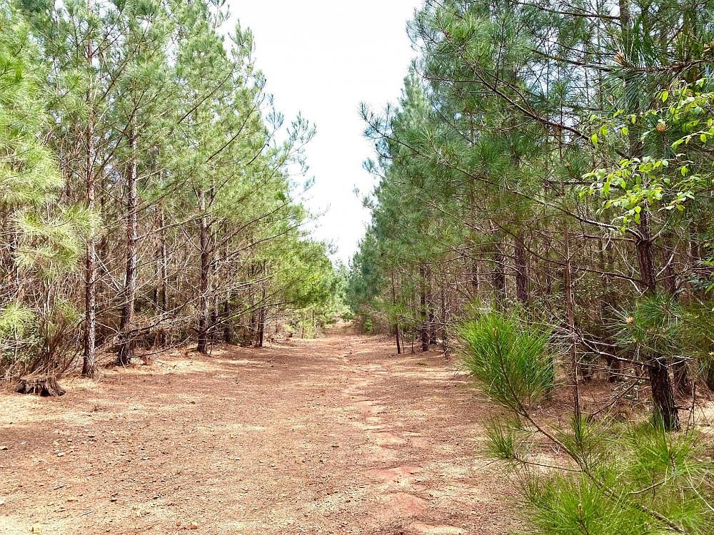 0 State Highway 731 W, Mount Gilead, NC 27306 | Zillow