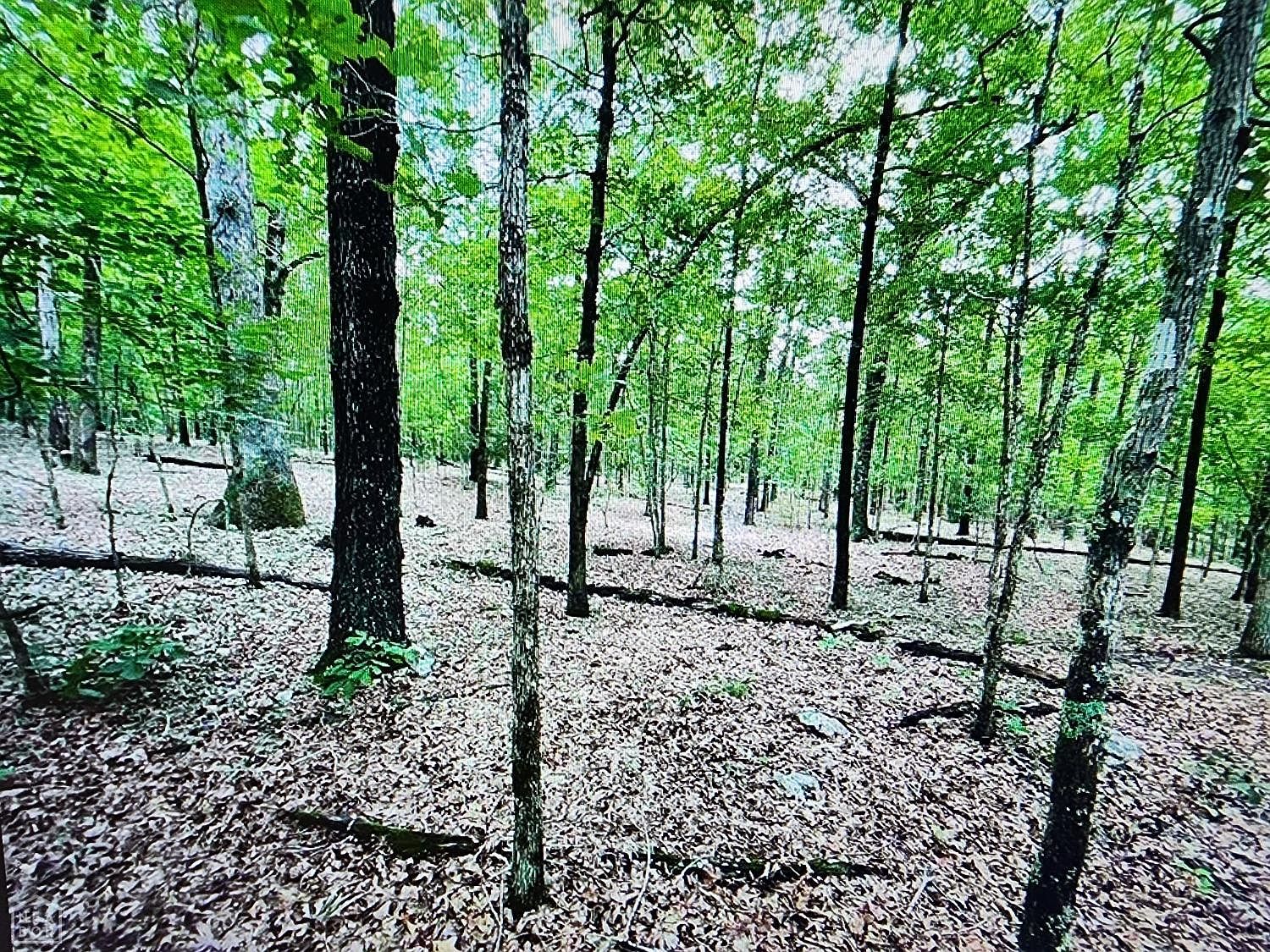 0 Bell Foley Ln #0, Poughkeepsie, AR 72569 | Zillow