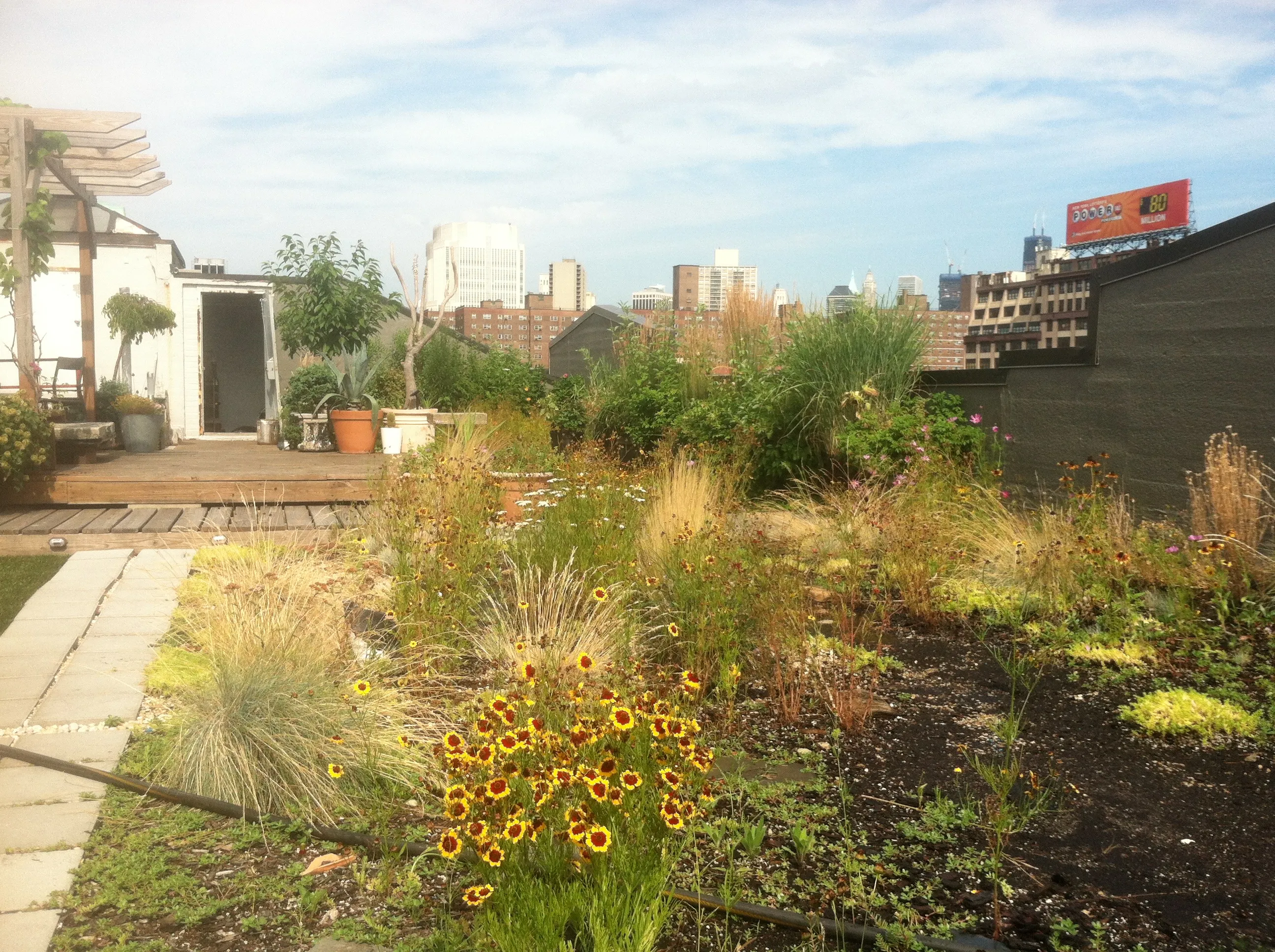 170 Tillary Street #207 in Downtown Brooklyn, Brooklyn | StreetEasy