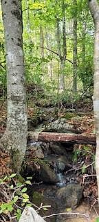 0 Pemberton Rd, Crab Orchard, WV 25827 | MLS #88426 | Zillow