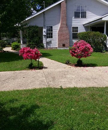 27 Joe Stockstill Road, Carriere, MS 39426 | Zillow