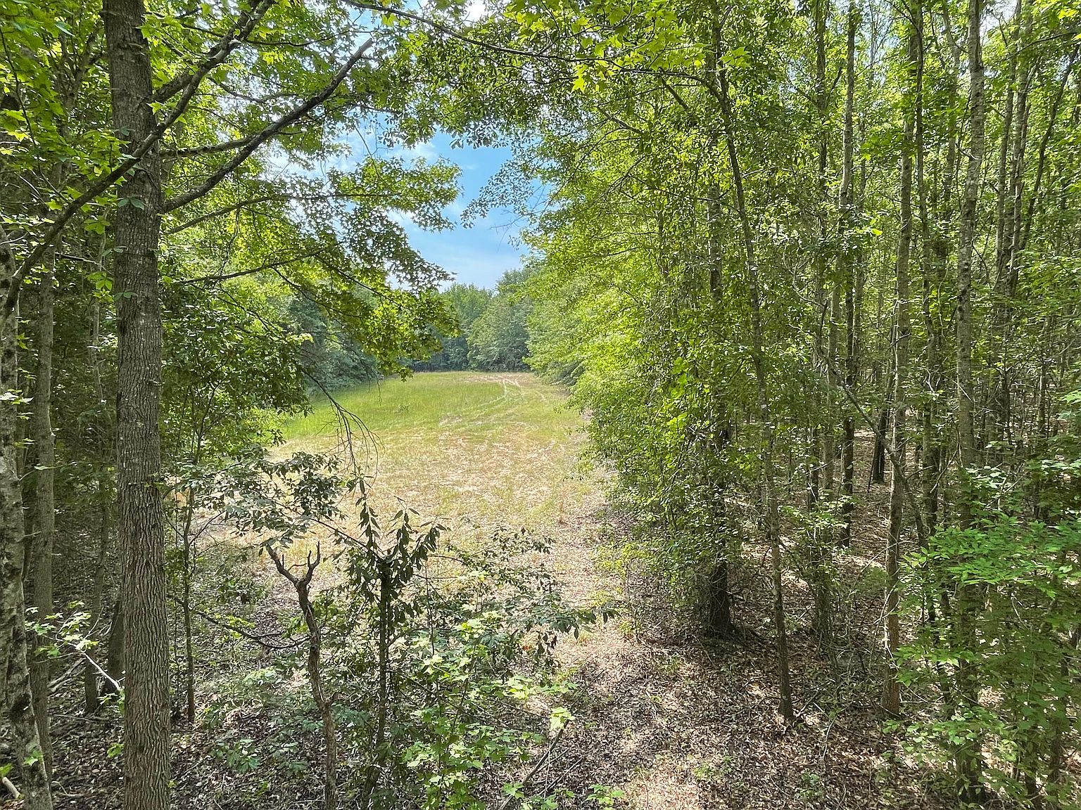 3992 Neeses Hwy, Springfield, SC 29146 | Zillow