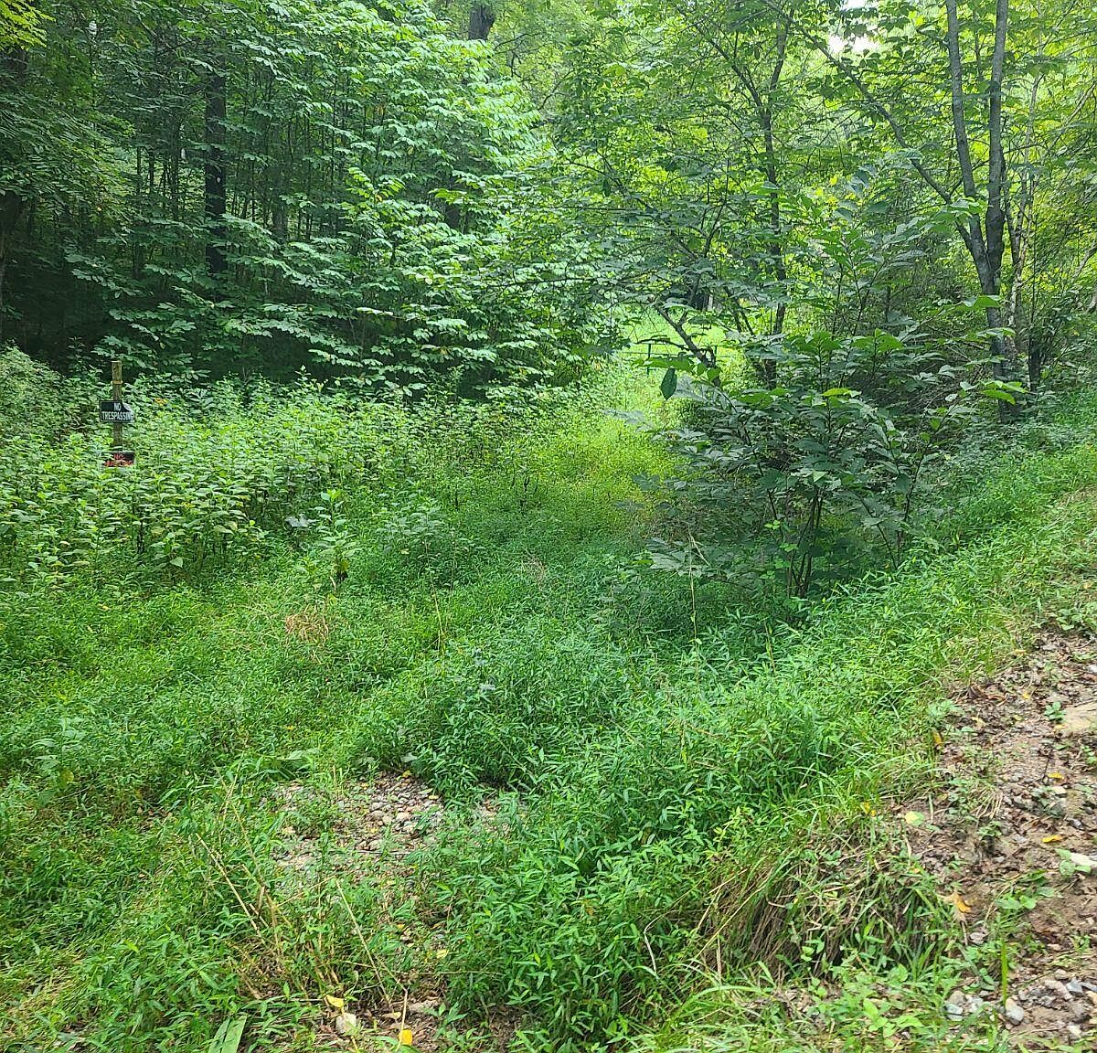 5 Fingers Forks Ln, Fort Blackmore, VA 24250 | MLS #9970084 | Zillow