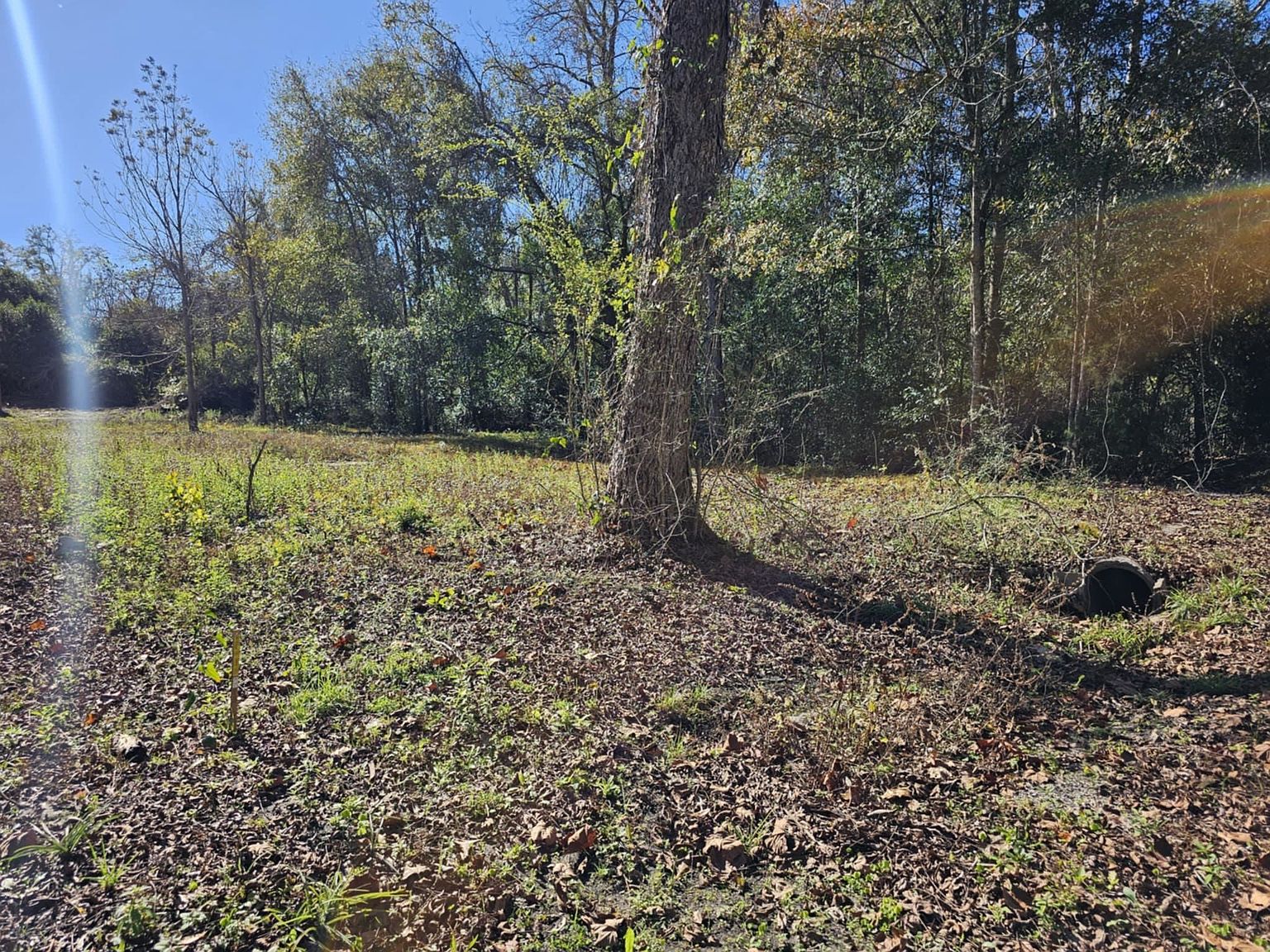 22346 Washington Ave, Florala, AL 36442 | MLS #24746 | Zillow