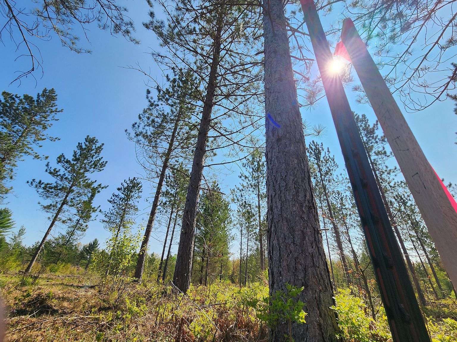 PARCEL Five Ryno A K A #M-72, Mio, MI 48647 | Zillow