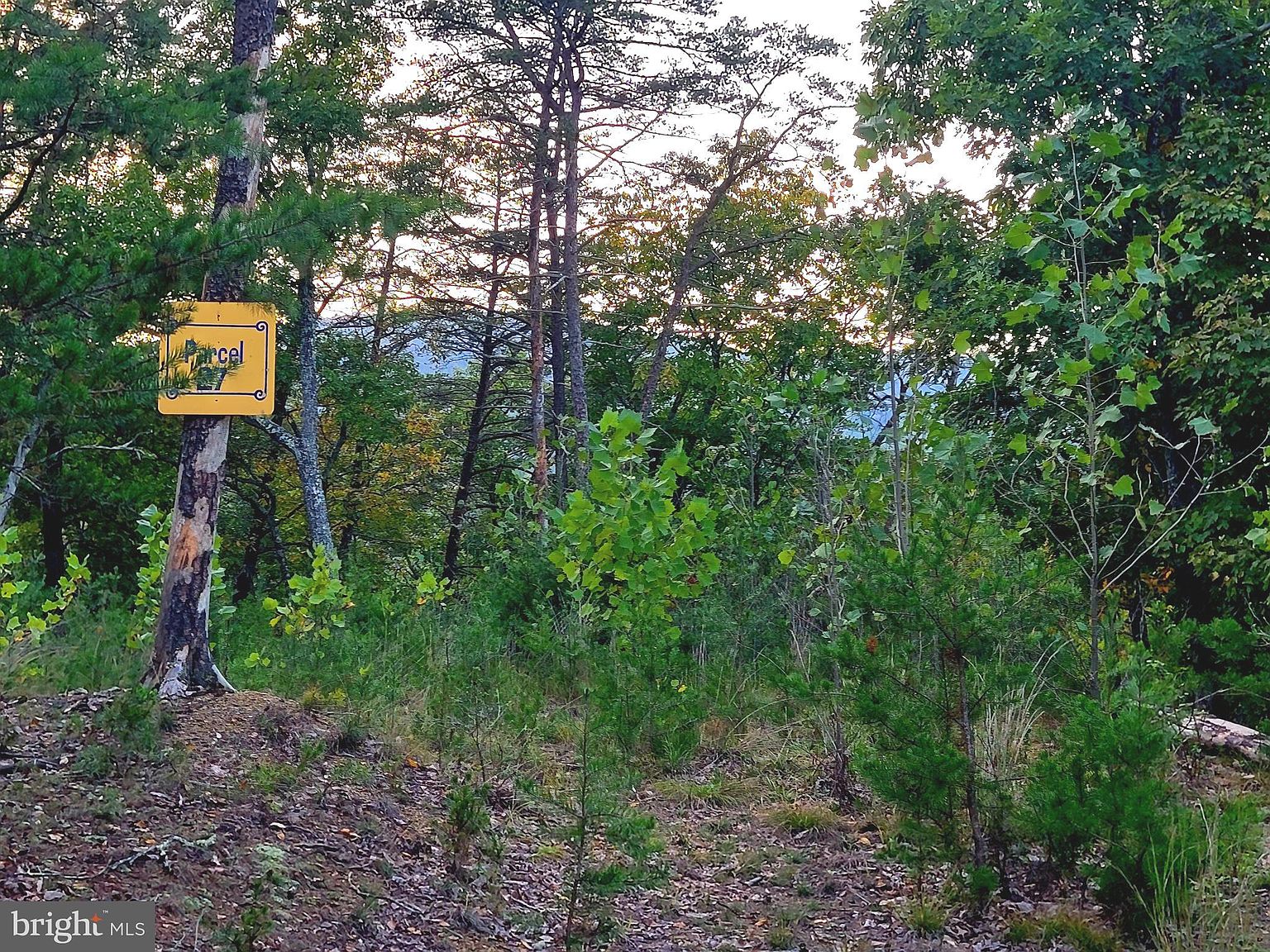 27 Hidden Hill Ln, Milam, WV 26838 | Zillow