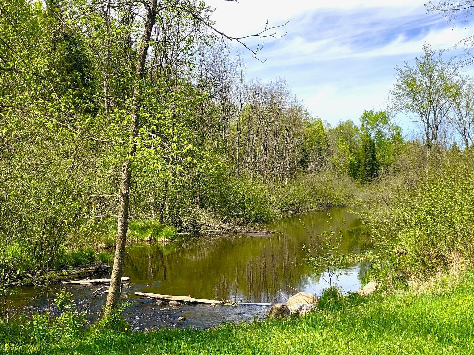 1458 Woodlawn Rd, Pickerel, WI 54465 | MLS #212094 | Zillow