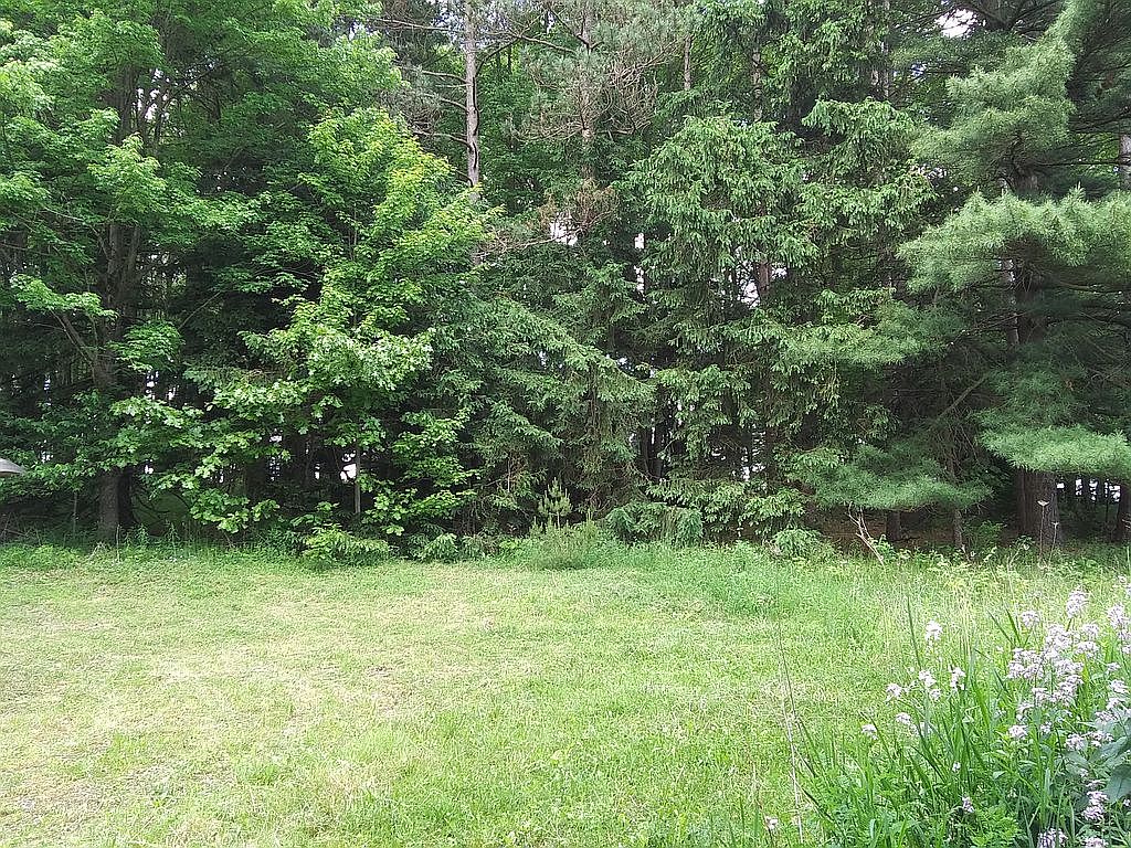 232 Sportsmans Rd, Winburne, PA 16879 | Zillow