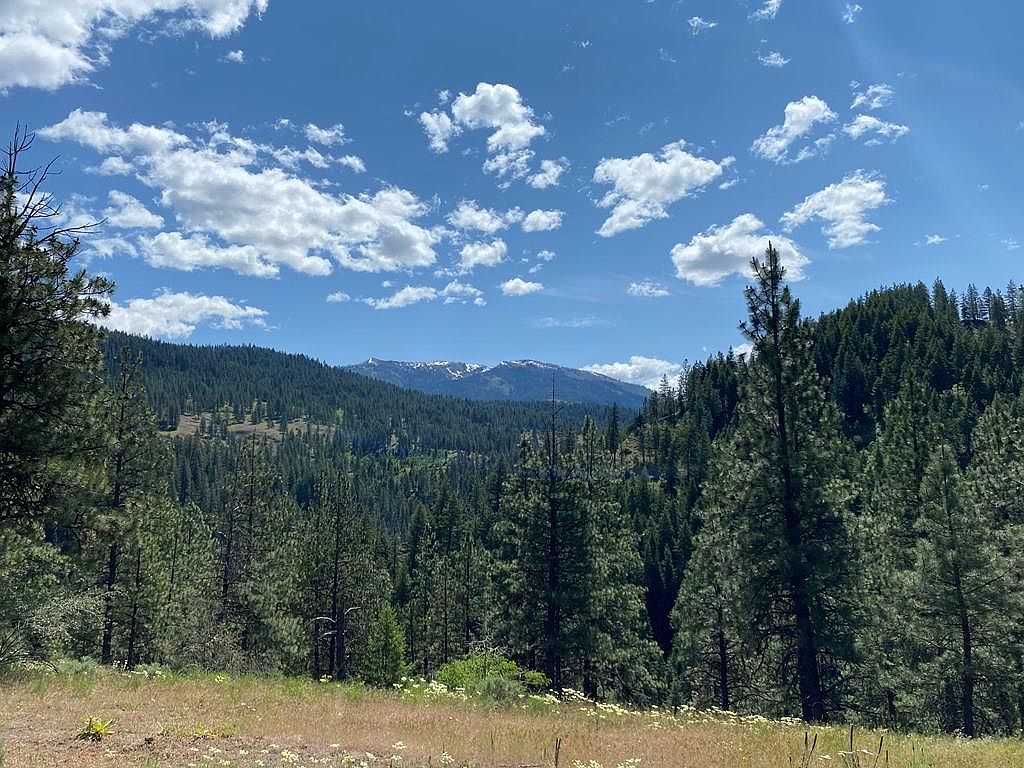 Hillman Basin Rd #712, New Meadows, ID 83654 | MLS #543035 | Zillow