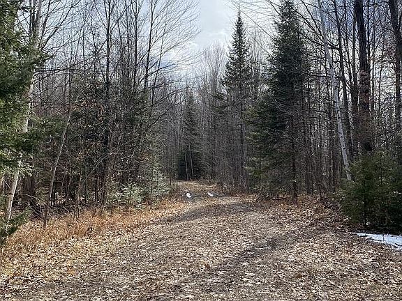 160 Acres MOL COUNTY ROAD YY, Ogema, WI 54459 | MLS #22401214 | Zillow