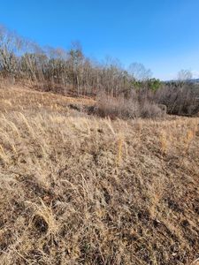 1A Ridgecrest Dr, Dayton, TN 37321 | MLS #1367563 | Zillow