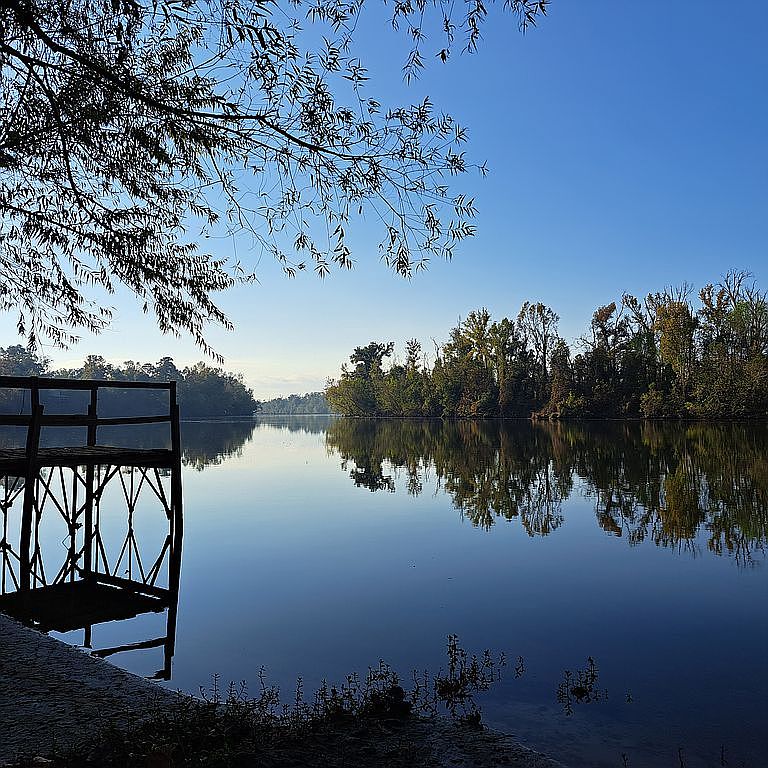 Riverside Ln, Jakin, GA 39861 | Zillow