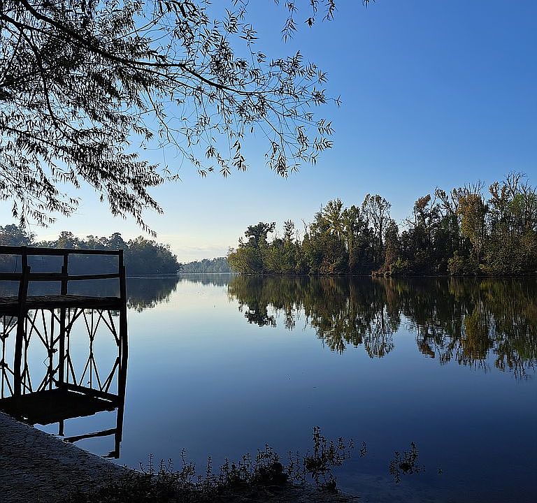 Riverside Ln, Jakin, GA 39861 | Zillow