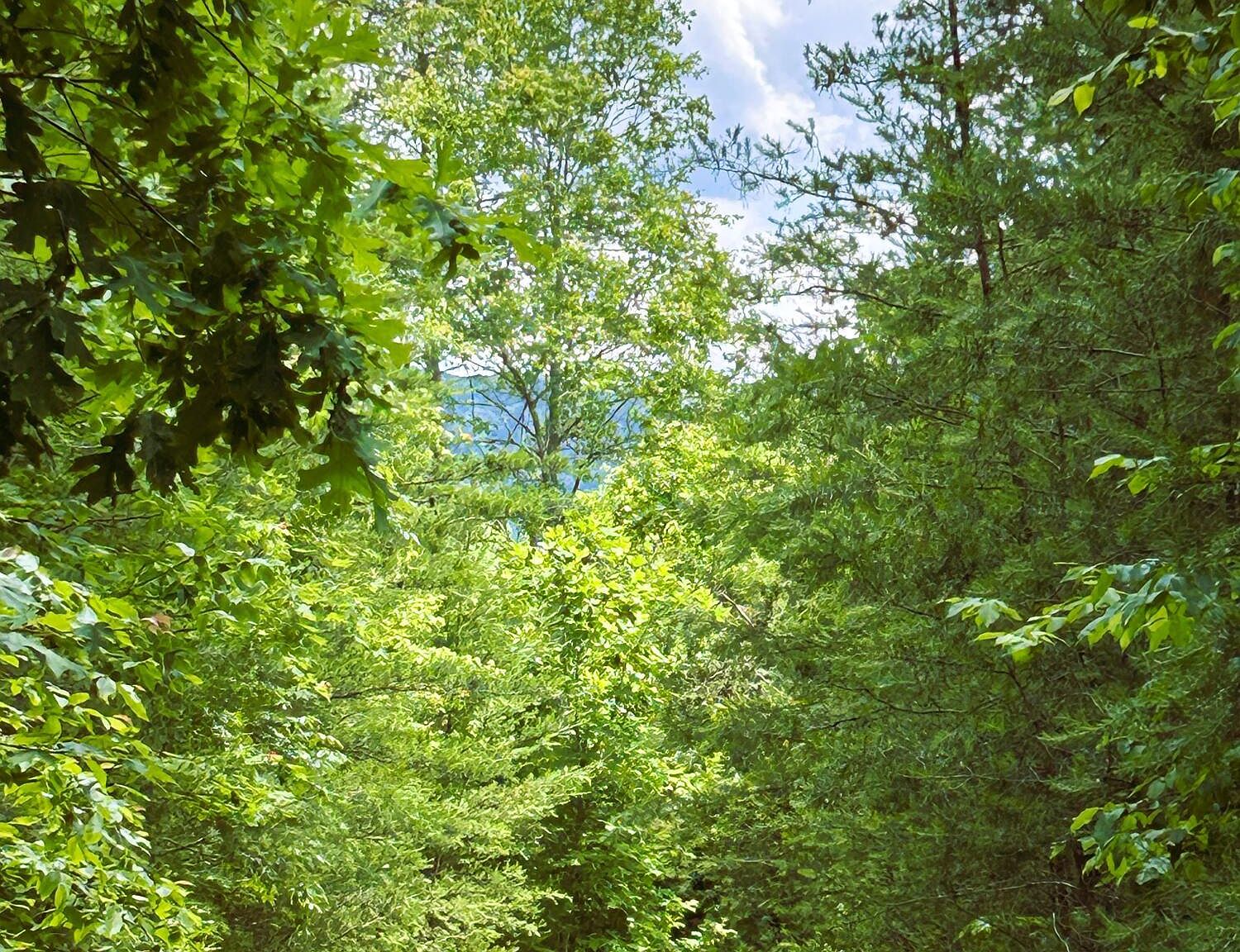 1137 County Road 480, Englewood, TN 37329 | MLS #1264828 | Zillow