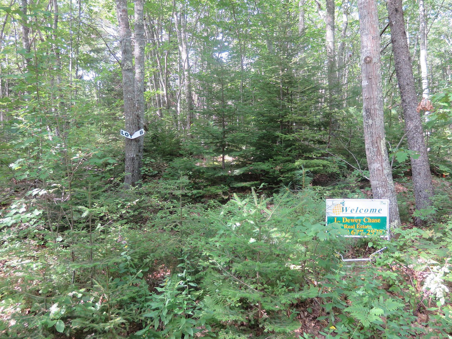 8 Spring Hill Loop, Chamberlain, ME 04541 | Zillow