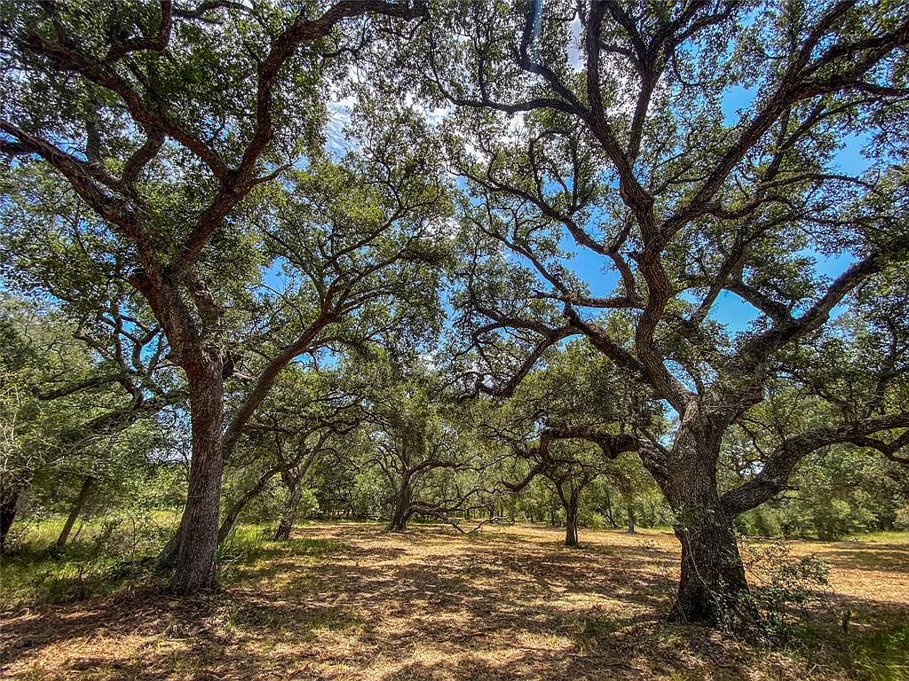 0 Fm 3156, Van Vleck, TX 77482 | MLS #16026137 | Zillow