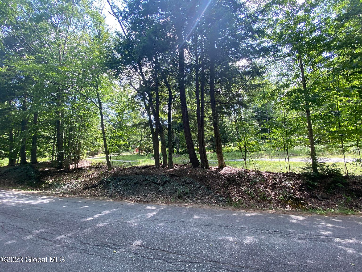 493 Bowen Hill Road, Warrensburg, NY 12885 | Zillow