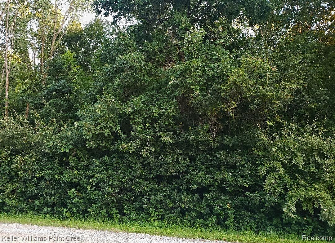 0 Puttygut Rd, Casco, MI 48064 | Zillow