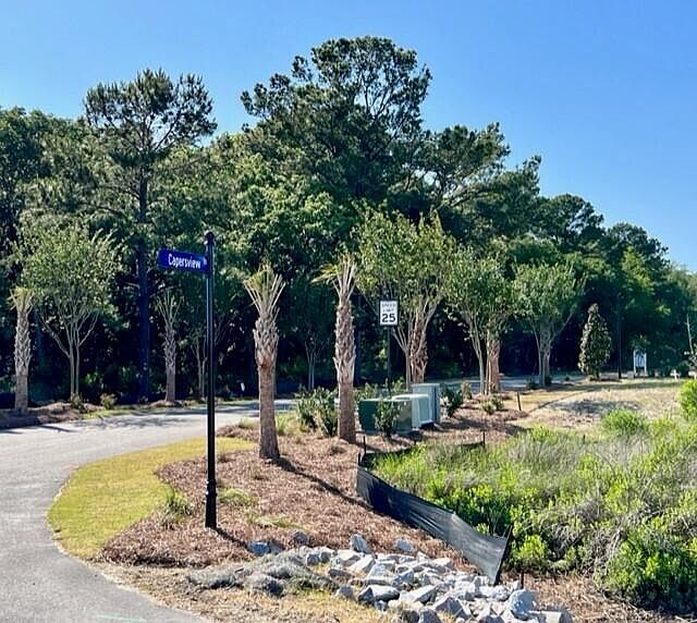 1075 Capersview Ct, Mt Pleasant, SC 29429 | MLS #23018081 | Zillow