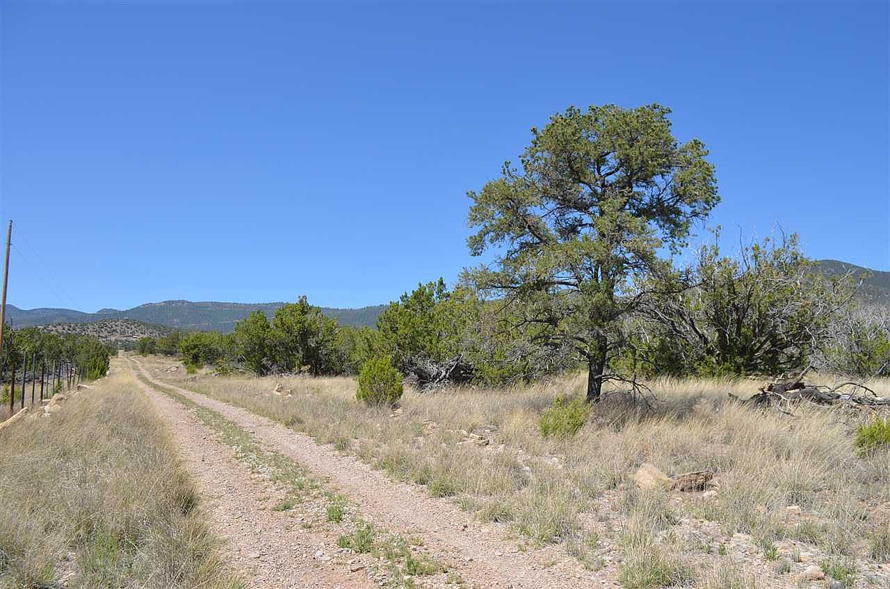 Bug Scuffle Sue Layne Pasture #8, Sunspot, NM 88349 | Zillow