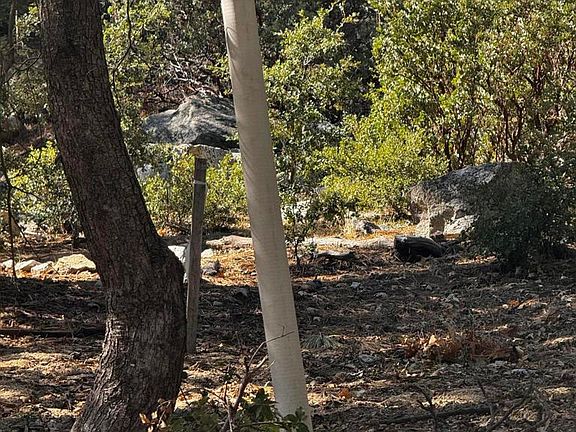 25327 Scenic View Dr, Idyllwild, CA 92549 | MLS #219142842DA | Zillow