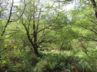 0 South Bend Palix Rd, South Bend, WA 98586 | MLS #2184888 | Zillow