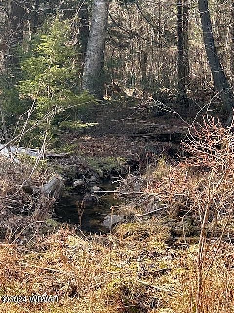 Rocky Road Ln #0, Dushore, PA 18614 | MLS #WB-98674 | Zillow