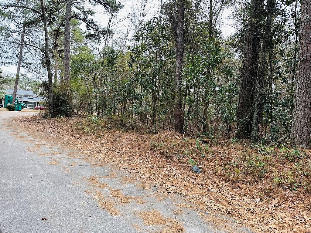 Williamsburg Ave, Olanta, SC 29114 | Zillow