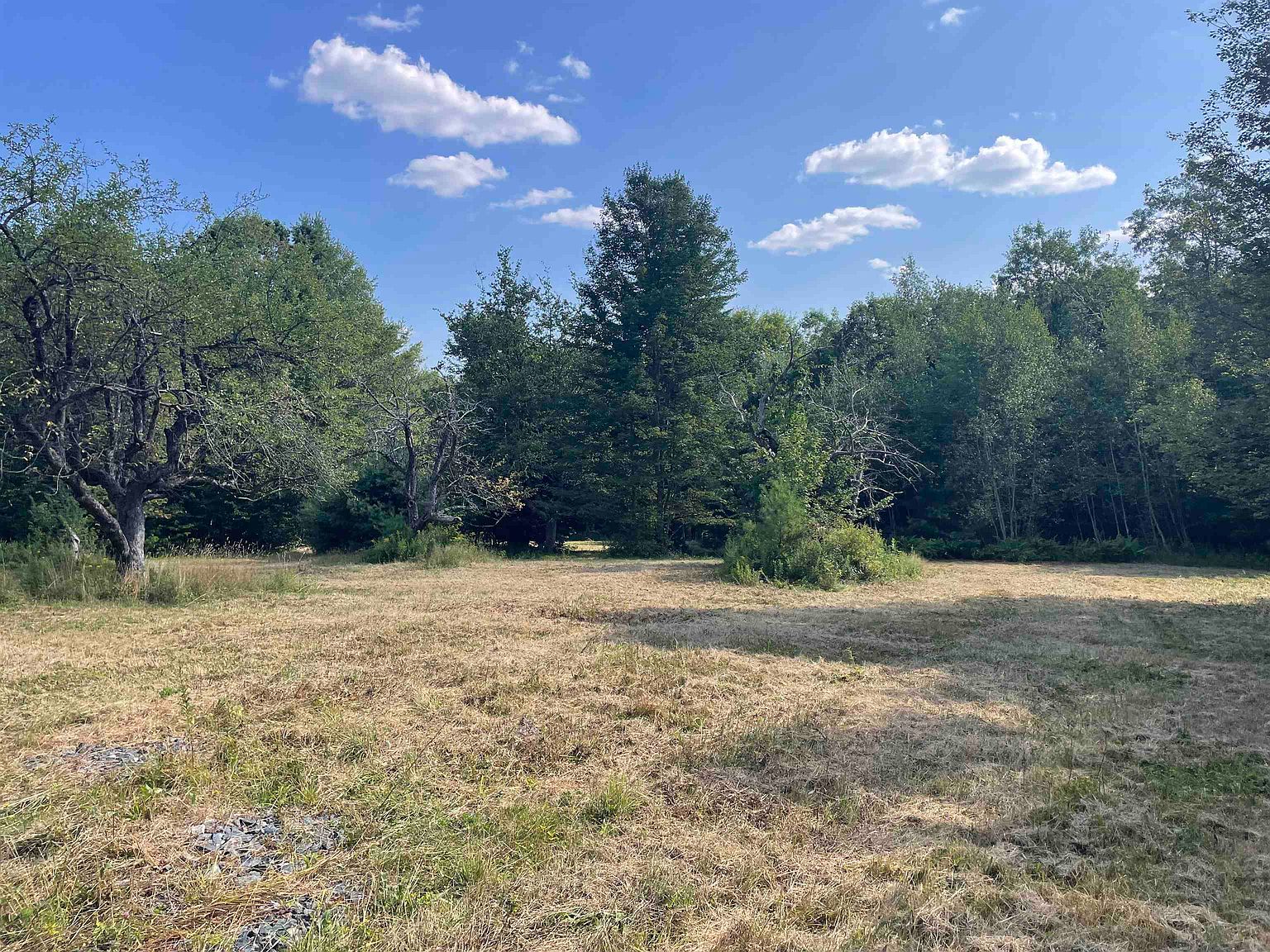 491 Whitneyville Road, West Halifax, VT 05358 | MLS #5056172 | Zillow