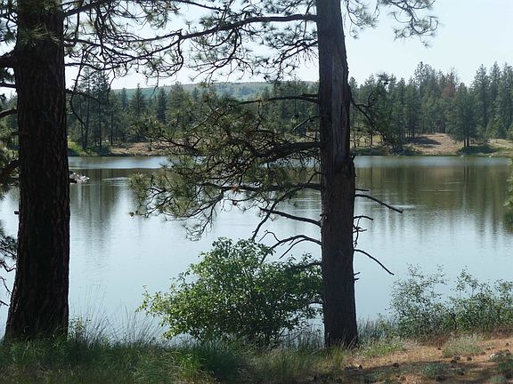 10231 S Medical Lake Rd, Medical Lake, WA 99022 | Zillow