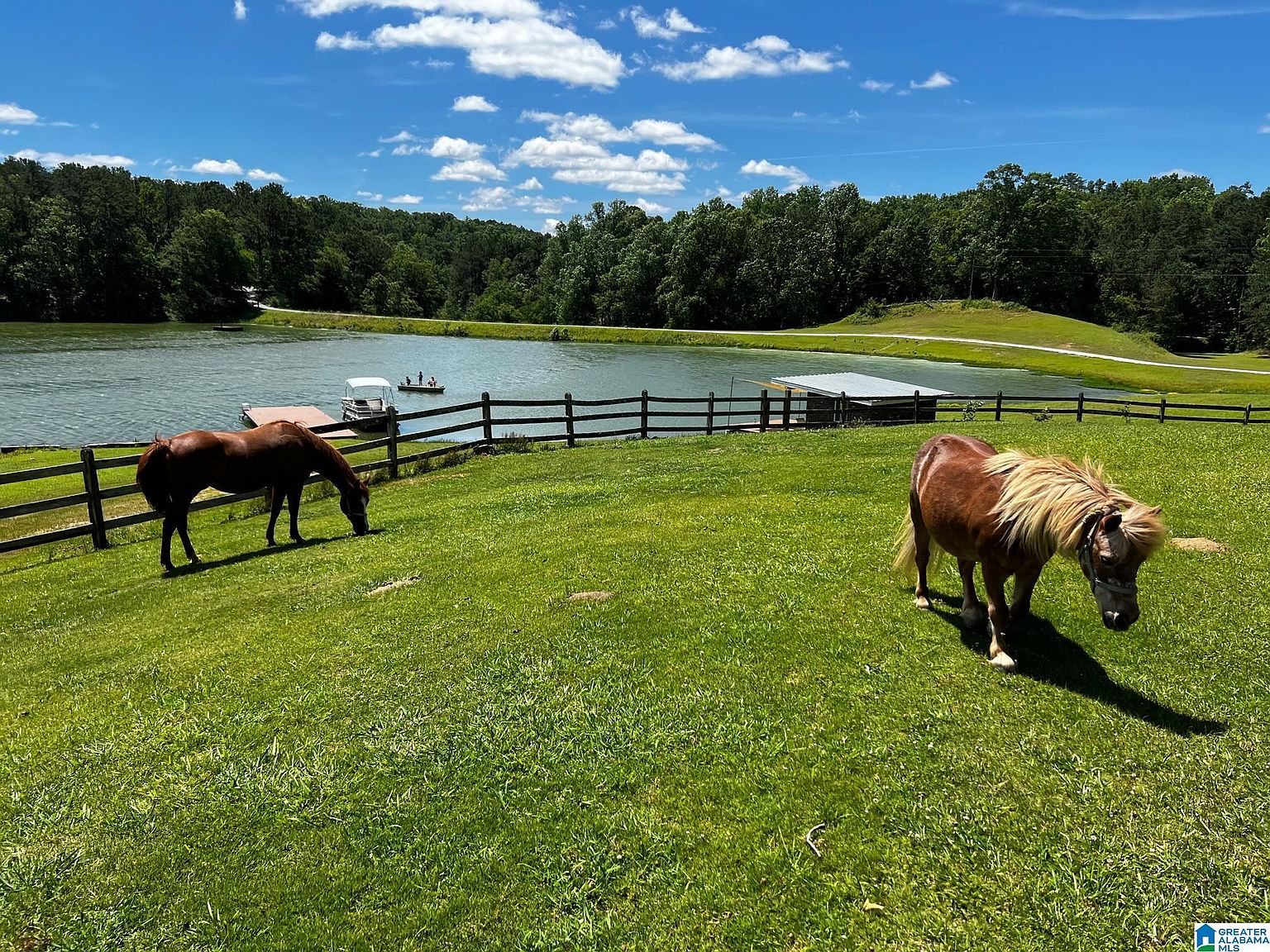 1000 Arabian Rd, Columbiana, AL 35051 | MLS #1355584 | Zillow
