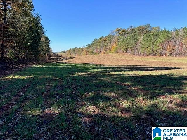 County Road 823, Wadley, AL 36276 | MLS #21404630 | Zillow