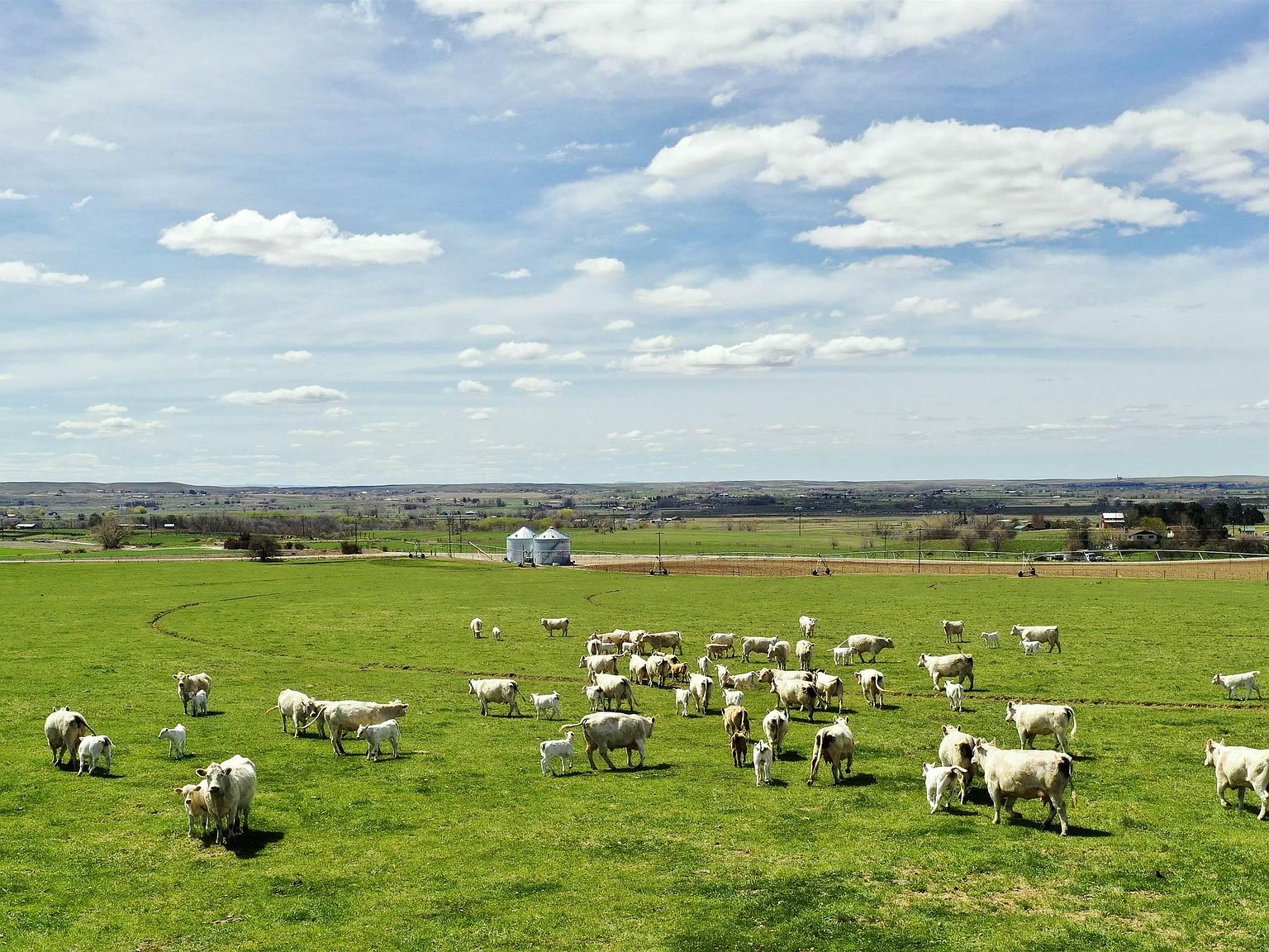 11346 Lower Bench Rd, Emmett, ID 83617 | MLS #98886270 | Zillow