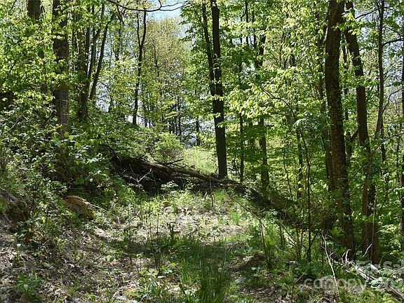 0 Scronce Creek Rd, Burnsville, NC 28714 | MLS #4153746 | Zillow