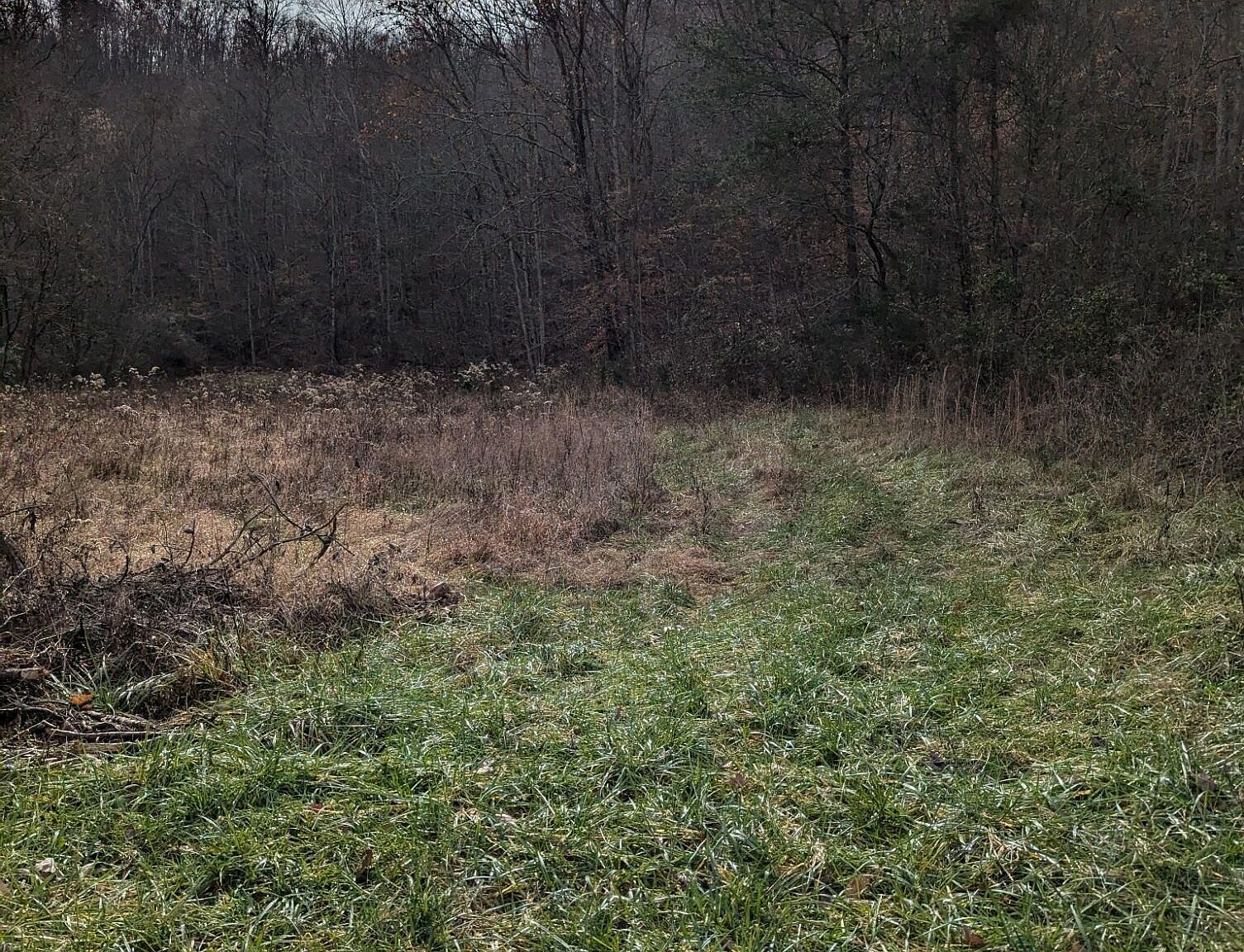 Owens Ln, Rutledge, TN 37861 | MLS #1284804 | Zillow