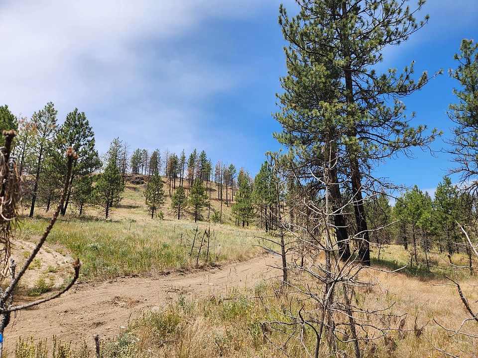 31XYZ Hawk Creek Ranch Rd N, Davenport, WA 99122 | MLS #202319565 | Zillow