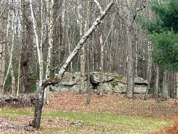 1A Nugent Road, Cropseyville, NY 12052 | MLS #202429237 | Zillow