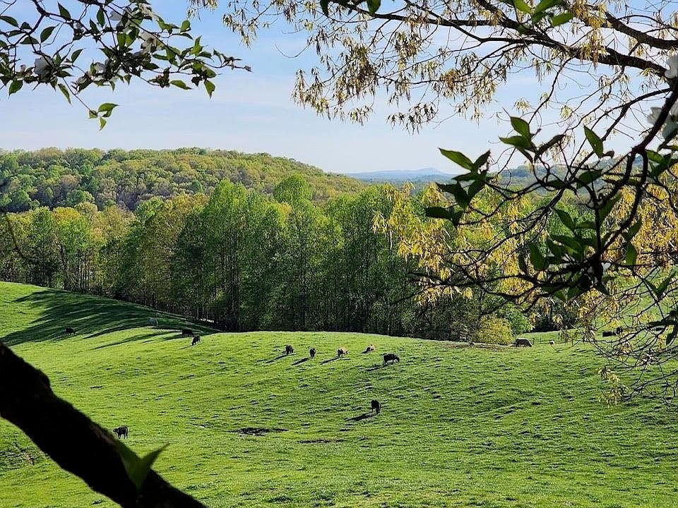 11.87 Lumpkin View Dr, Cleveland, GA 30528 | MLS #20116212 | Zillow