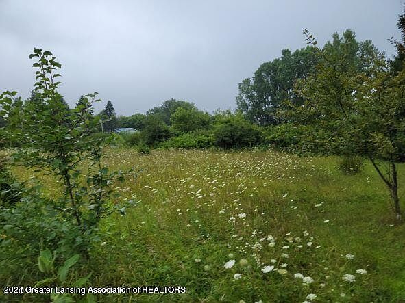 5360 Holt Rd, Holt, MI 48842 | Zillow