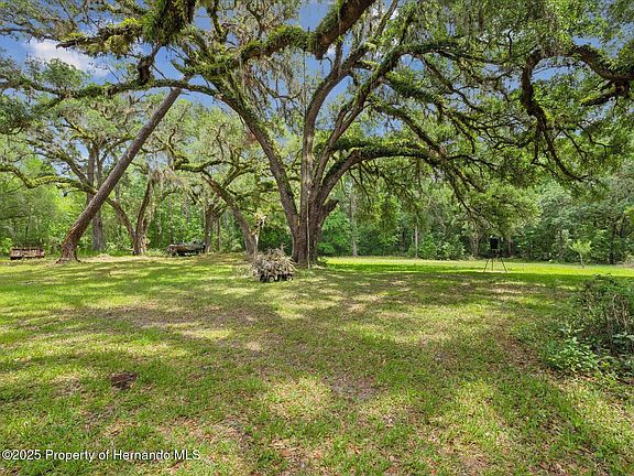 11842 N Broad St, Brooksville, FL 34601 | Zillow