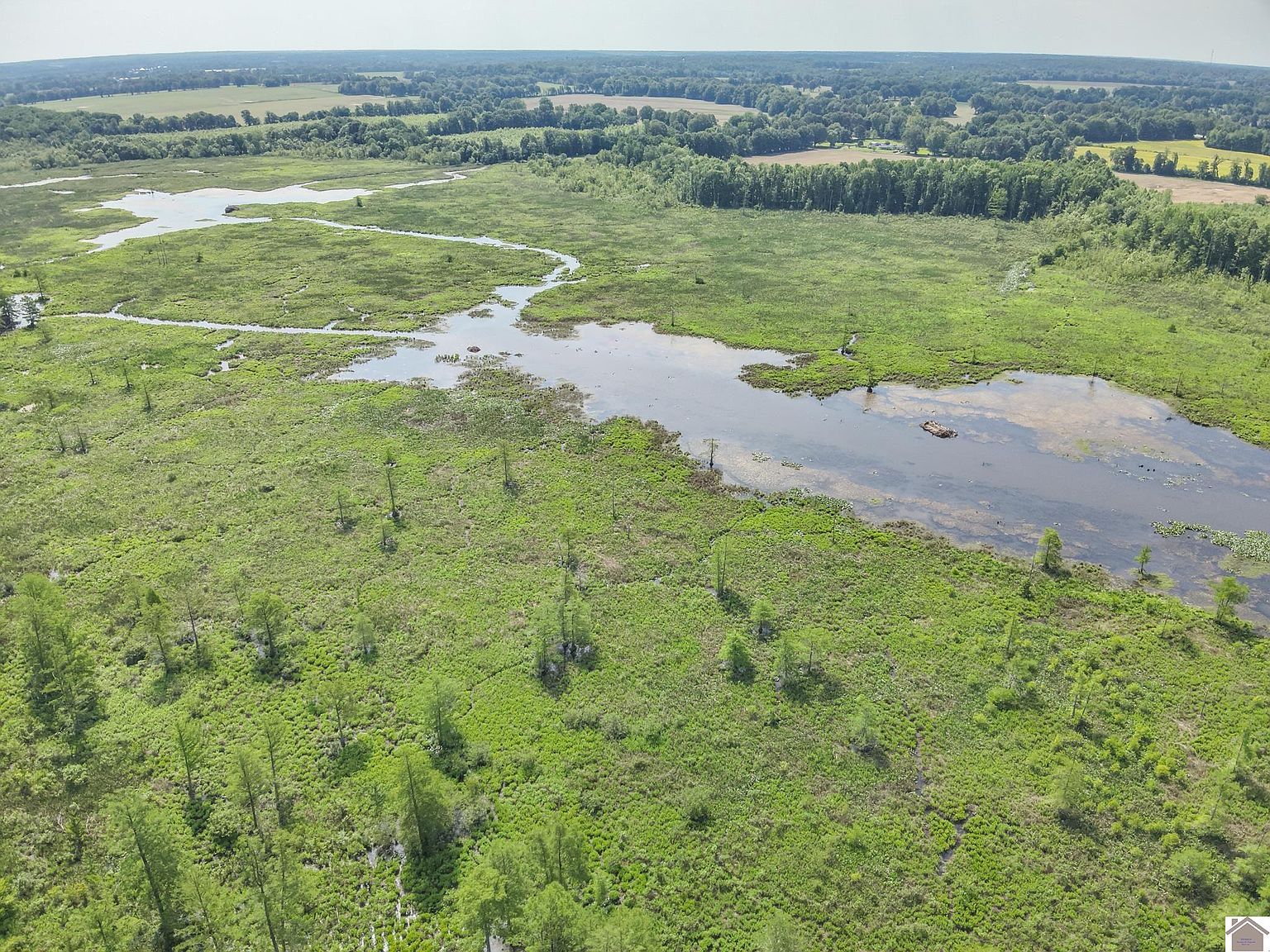 0 State Highway 121, Cunningham, KY 42035 | MLS #131929 | Zillow