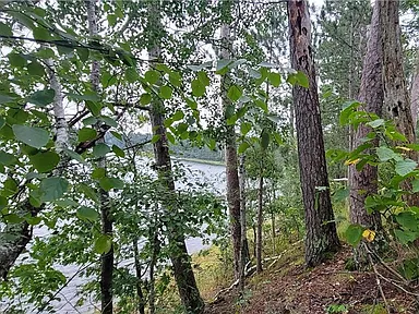 12029 E County Highway Y Gordon WI | Zillow